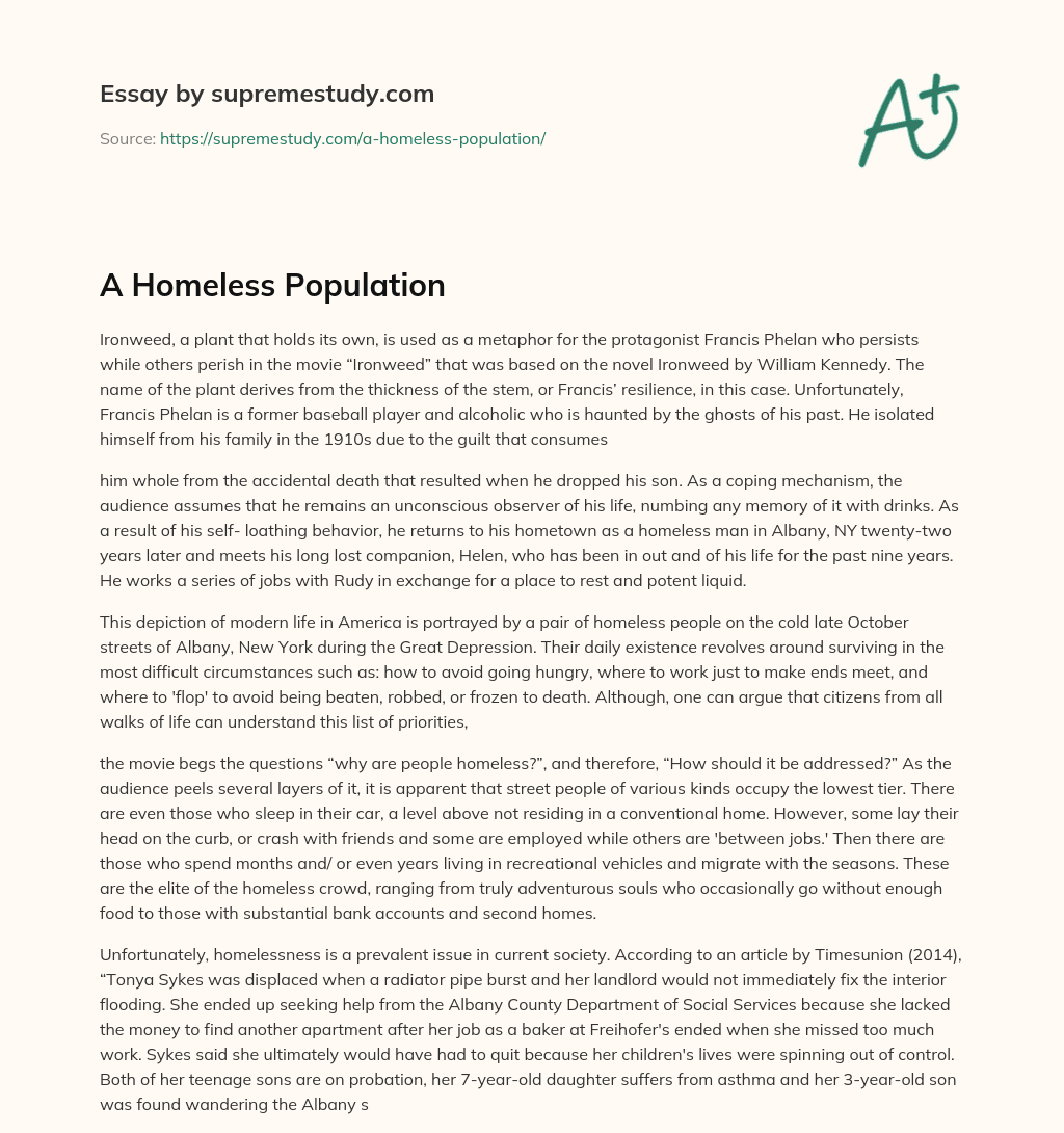 A Homeless Population - Free Essay Example - 945 Words | SupremeStudy