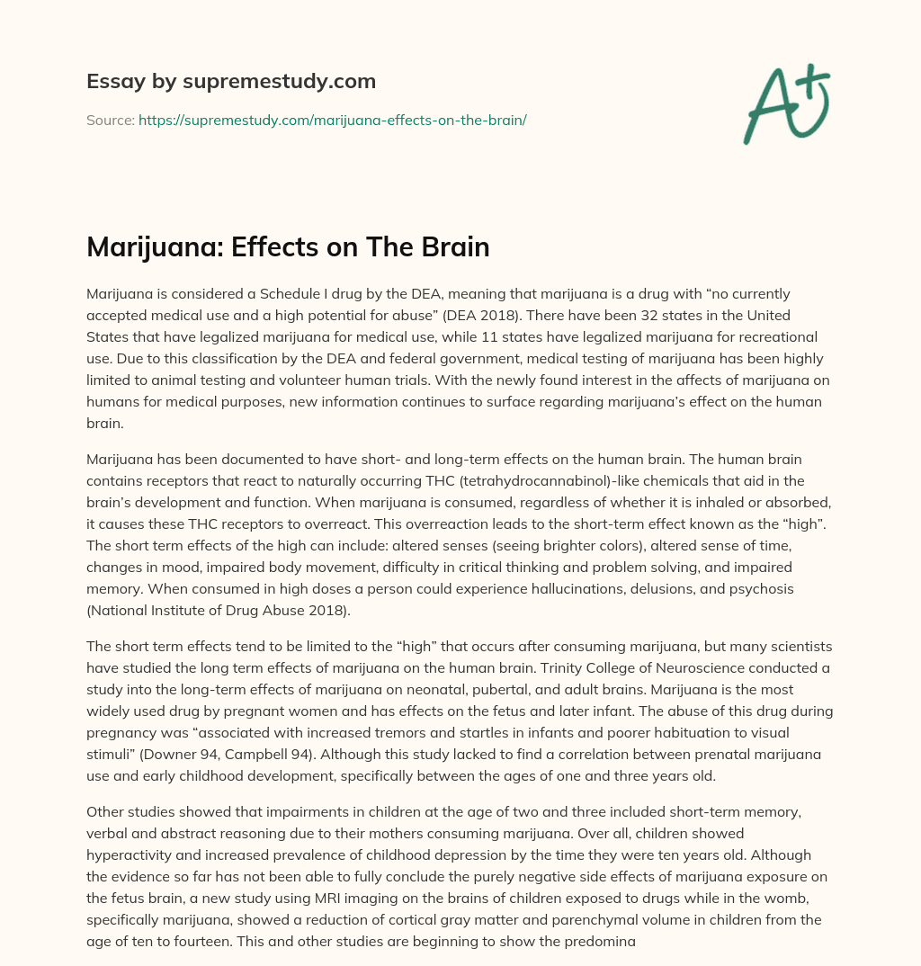 Marijuana: Effects on The Brain - Free Essay Example - 1313 Words ...