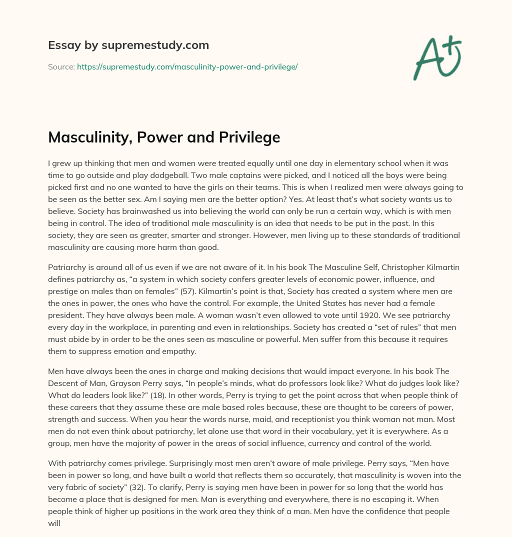 Masculinity, Power and Privilege - Free Essay Example - 2193 Words | SupremeStudy