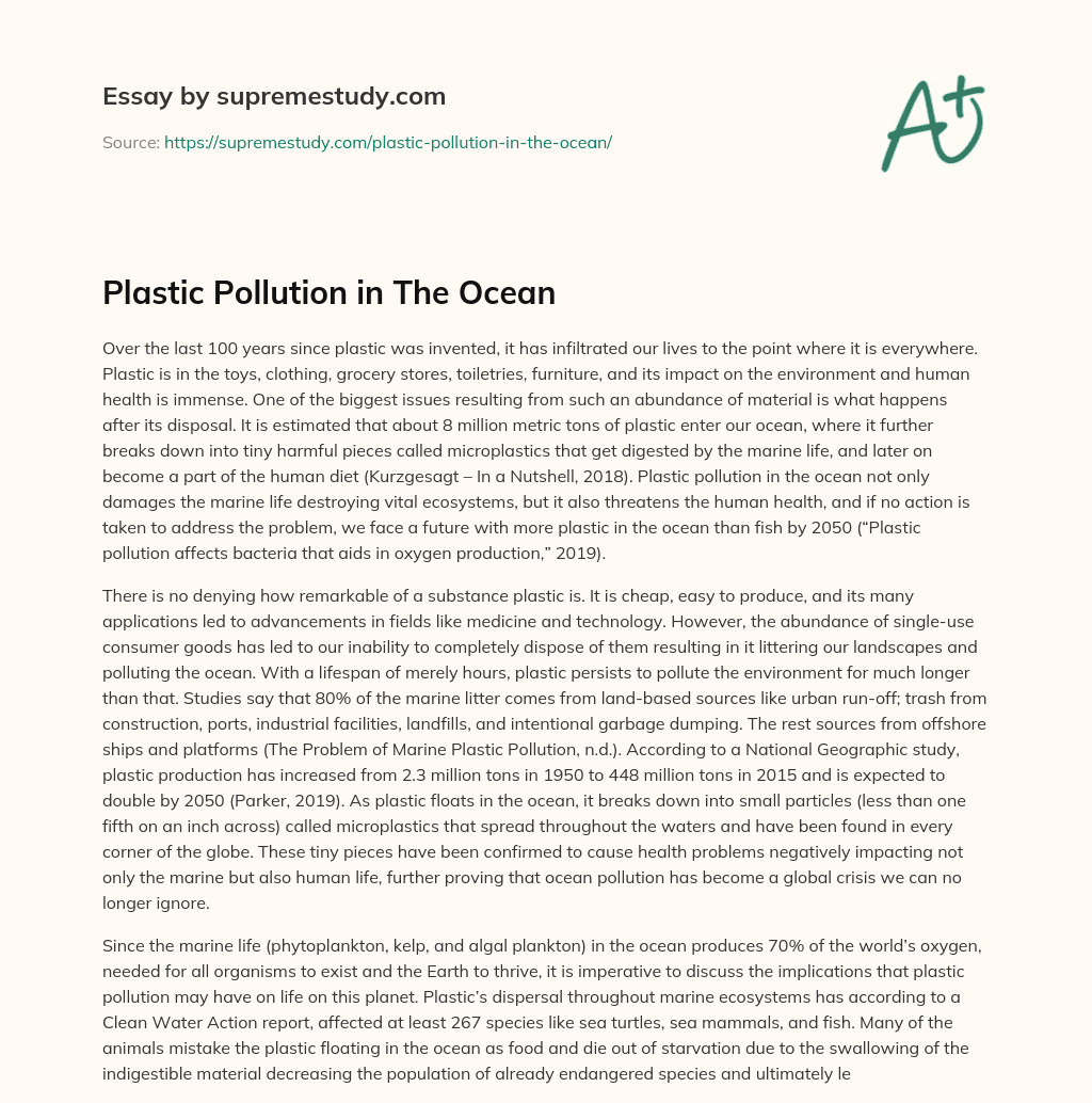 Plastic Pollution in The Ocean - Free Essay Example - 1352 Words ...