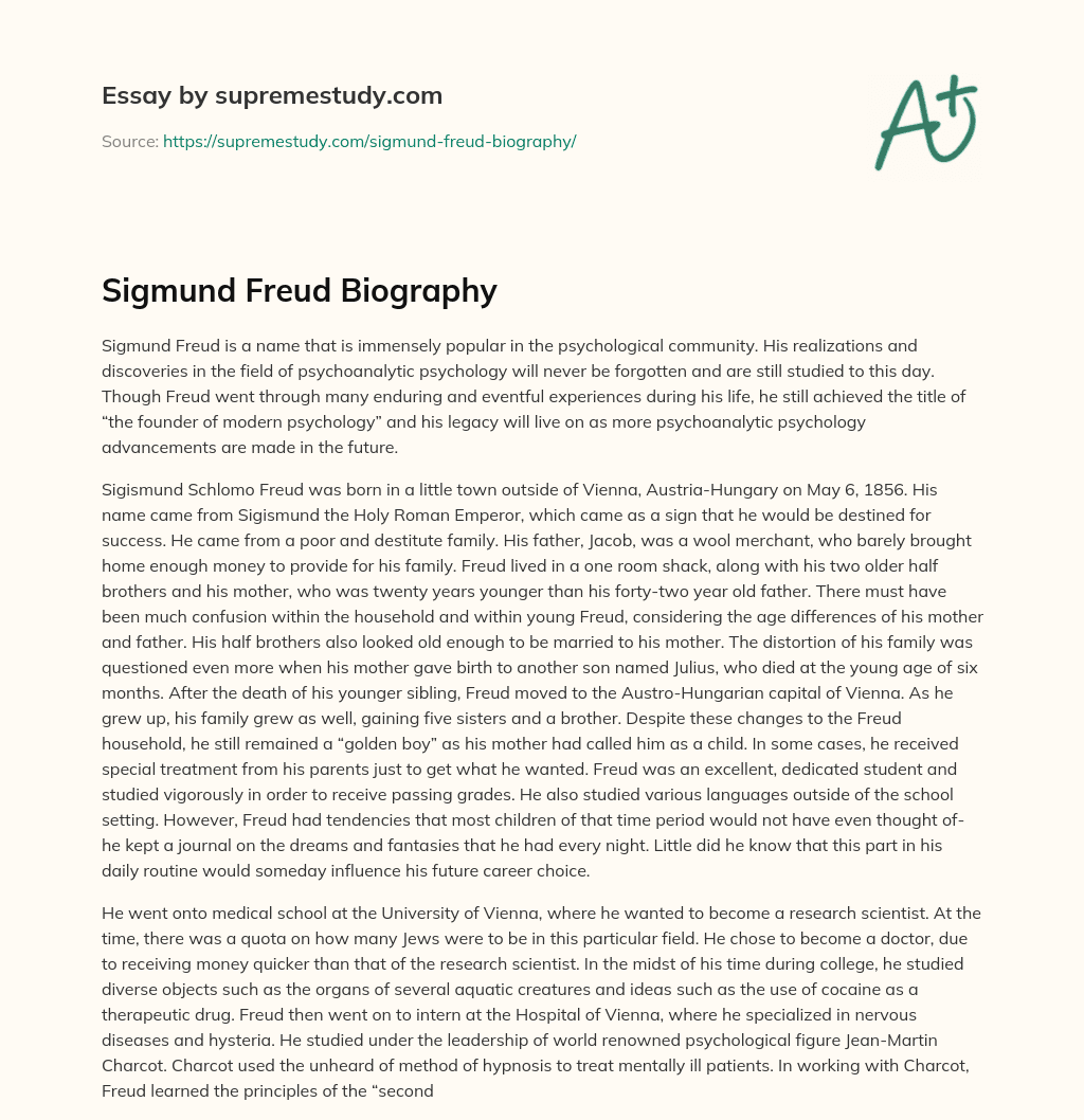 Sigmund Freud Biography - Free Essay Example - 913 Words | SupremeStudy