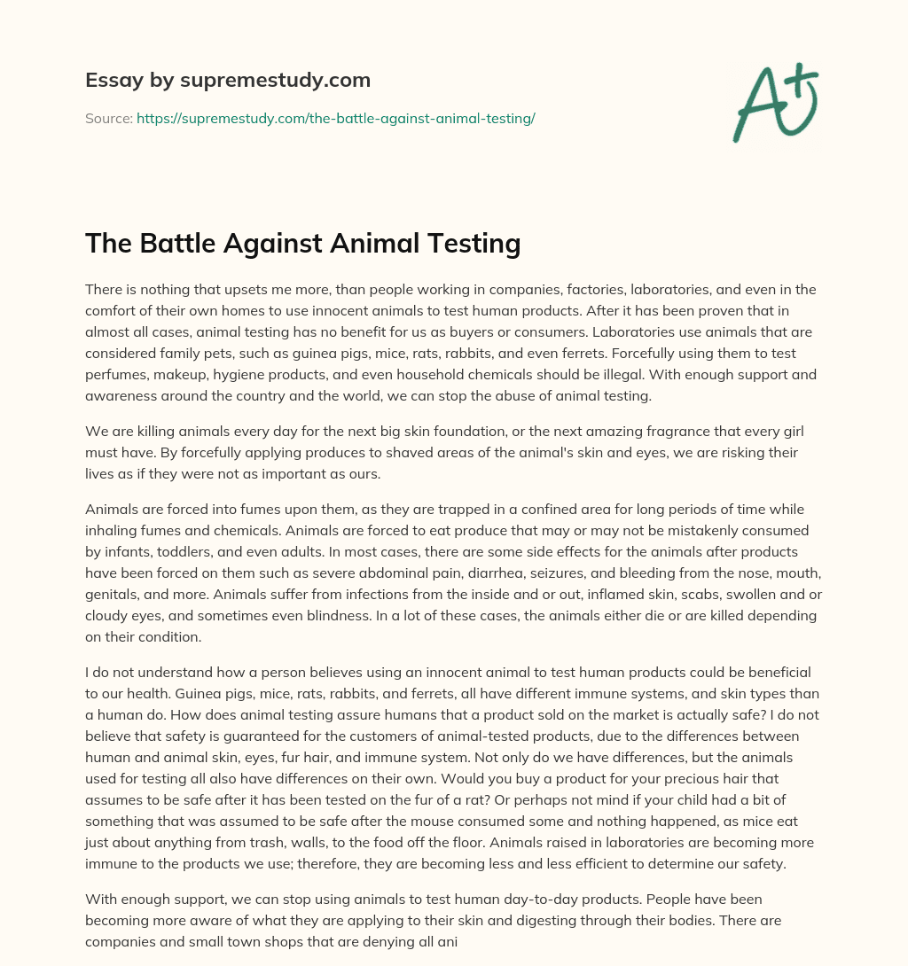 The Battle Against Animal Testing - Free Essay Example - 742 Words ...